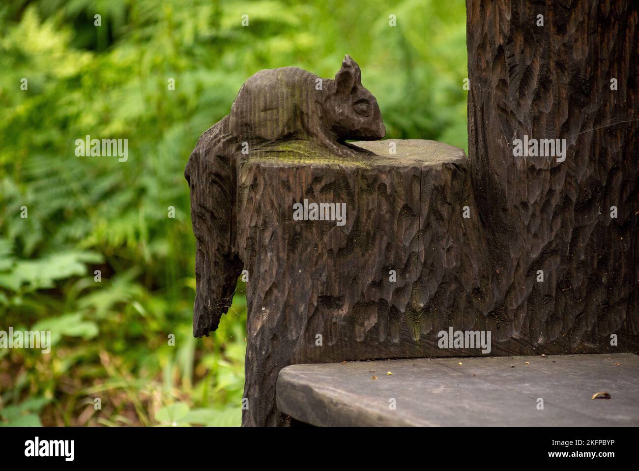 Wood carving of a Red Squirrel on a wooden bench at RSPB Loch Lomond ...