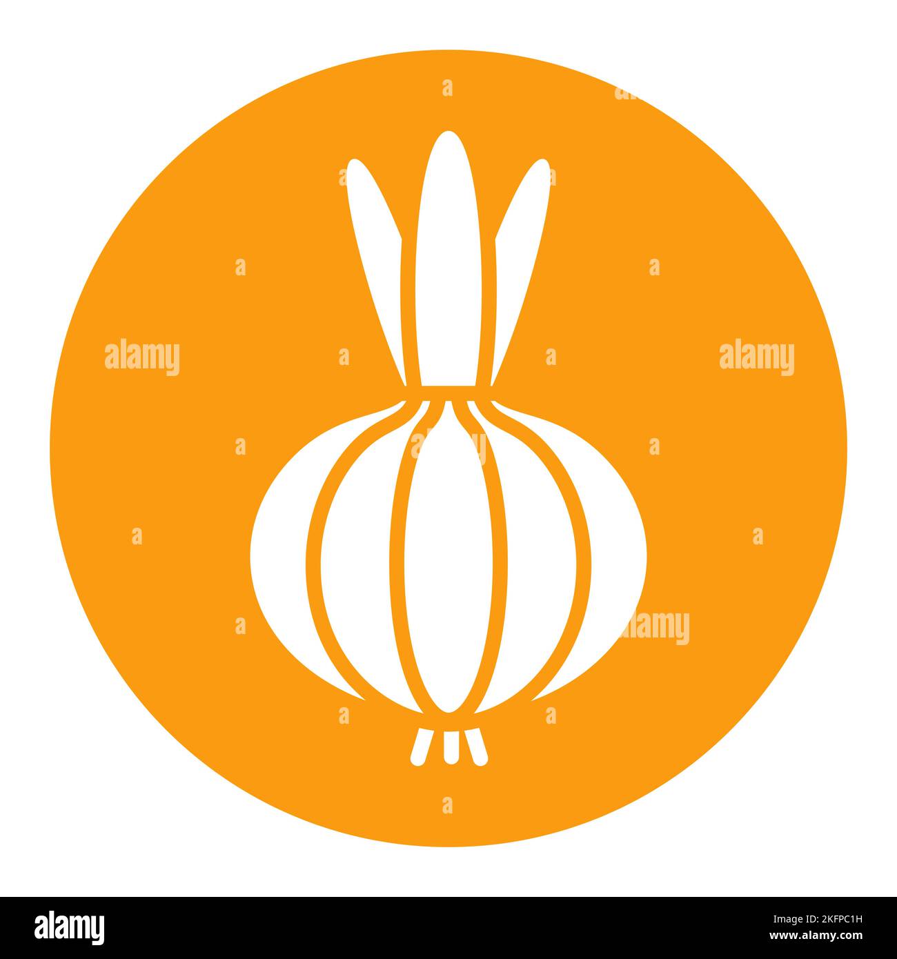 Onion isolated design vector glyph icon. Vegetable sign. Graph symbol ...