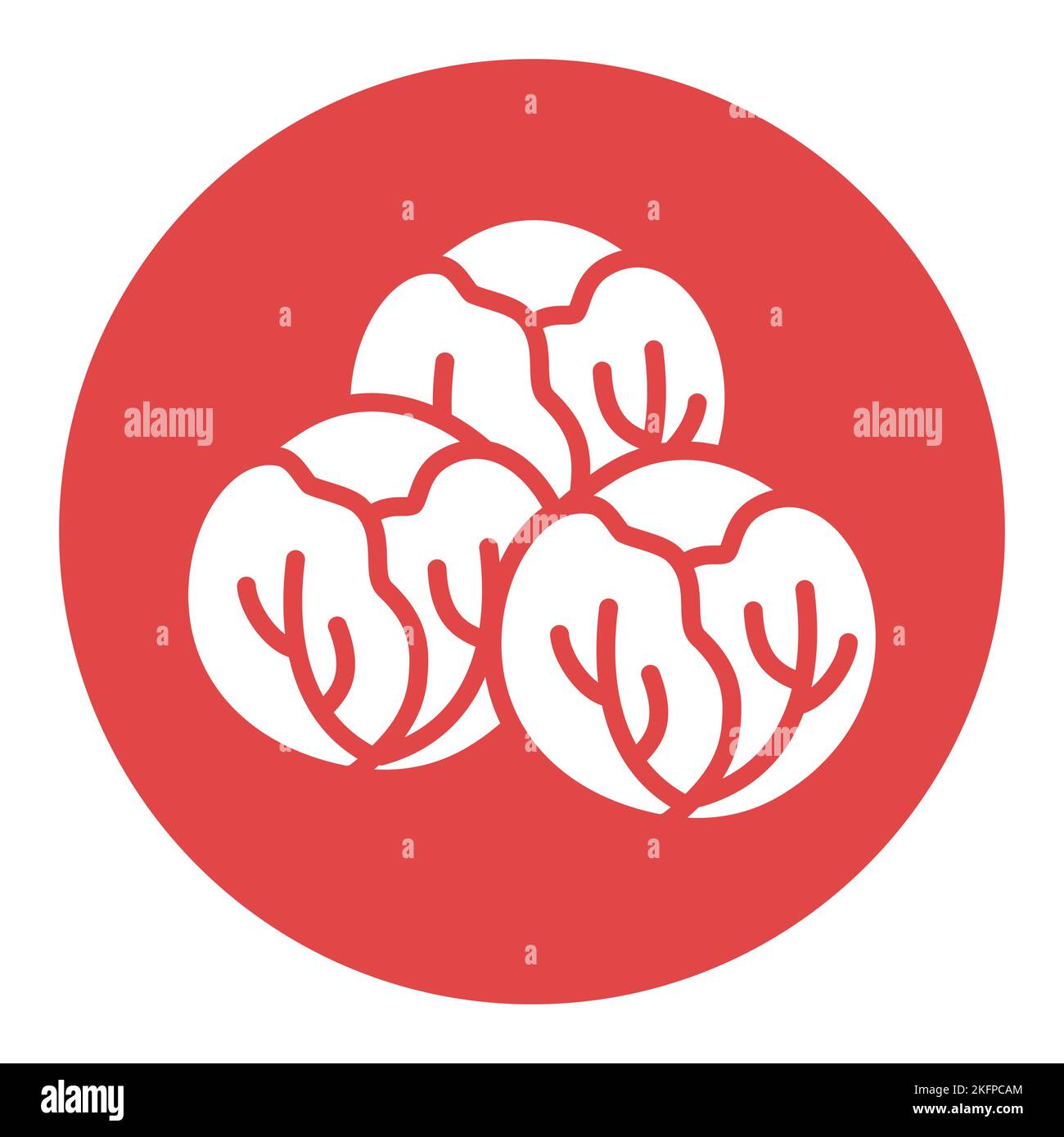 Brussels sprouts isolated design vector glyph icon. Vegetable sign ...