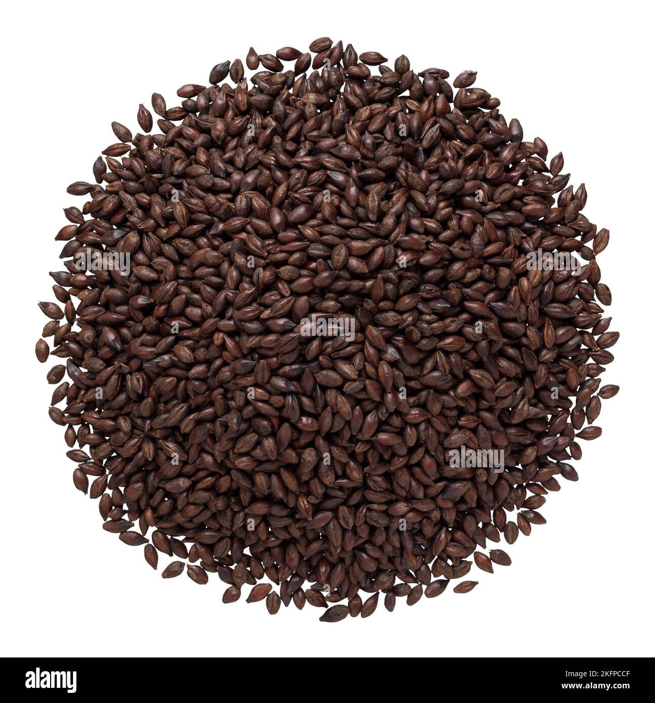 Malting barley Cut Out Stock Images & Pictures - Alamy