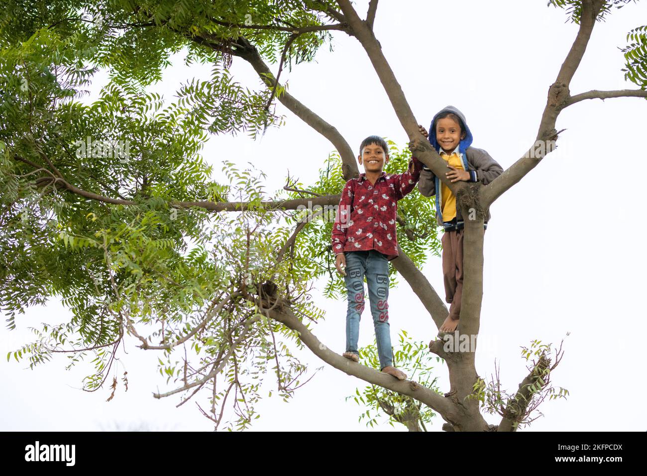 The kids on a tree in a village in New Delhi, India Stock Photo - Alamy