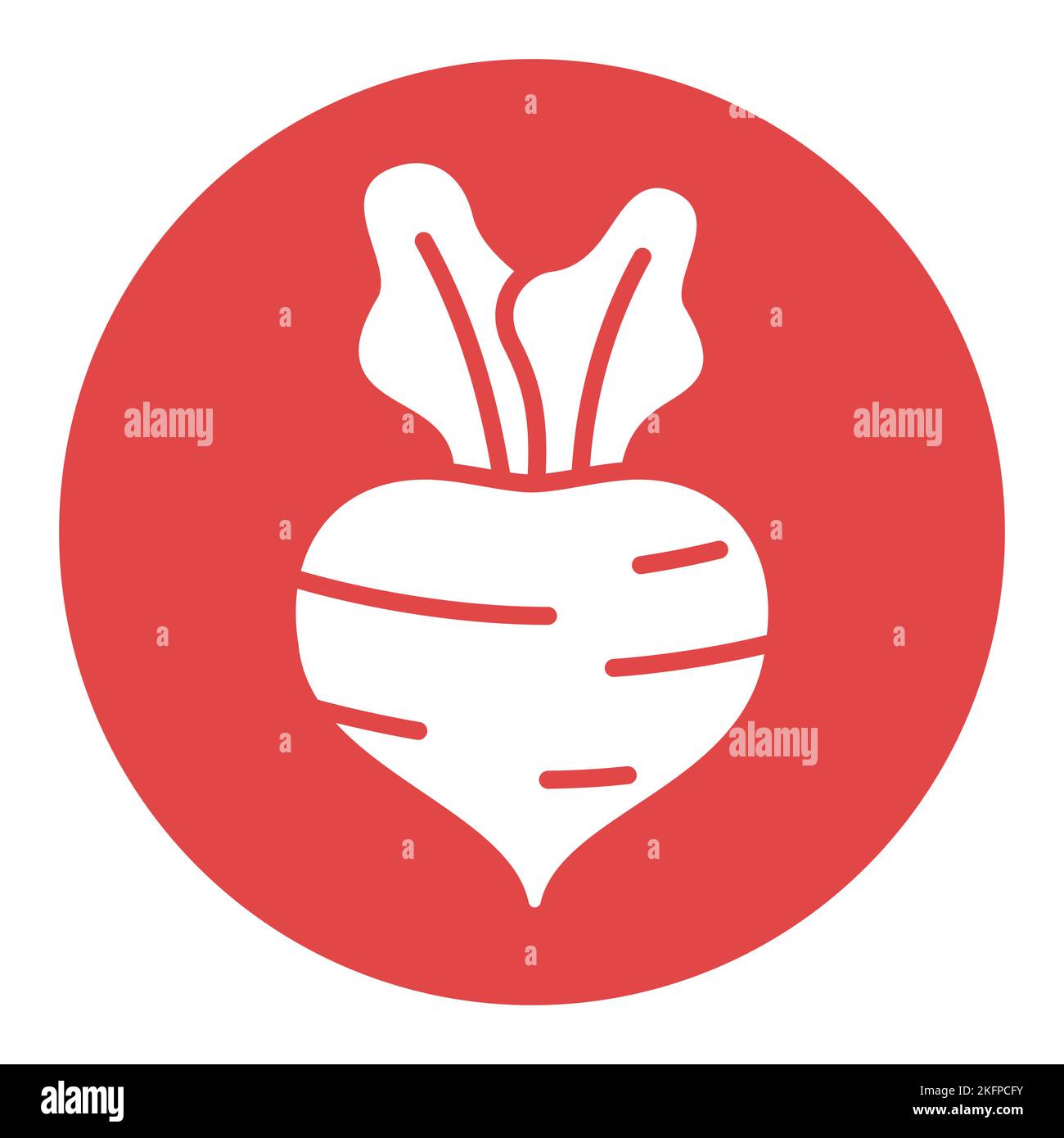 Beetroot isolated vector glyph icon. Vegetable sign. Graph symbol for ...