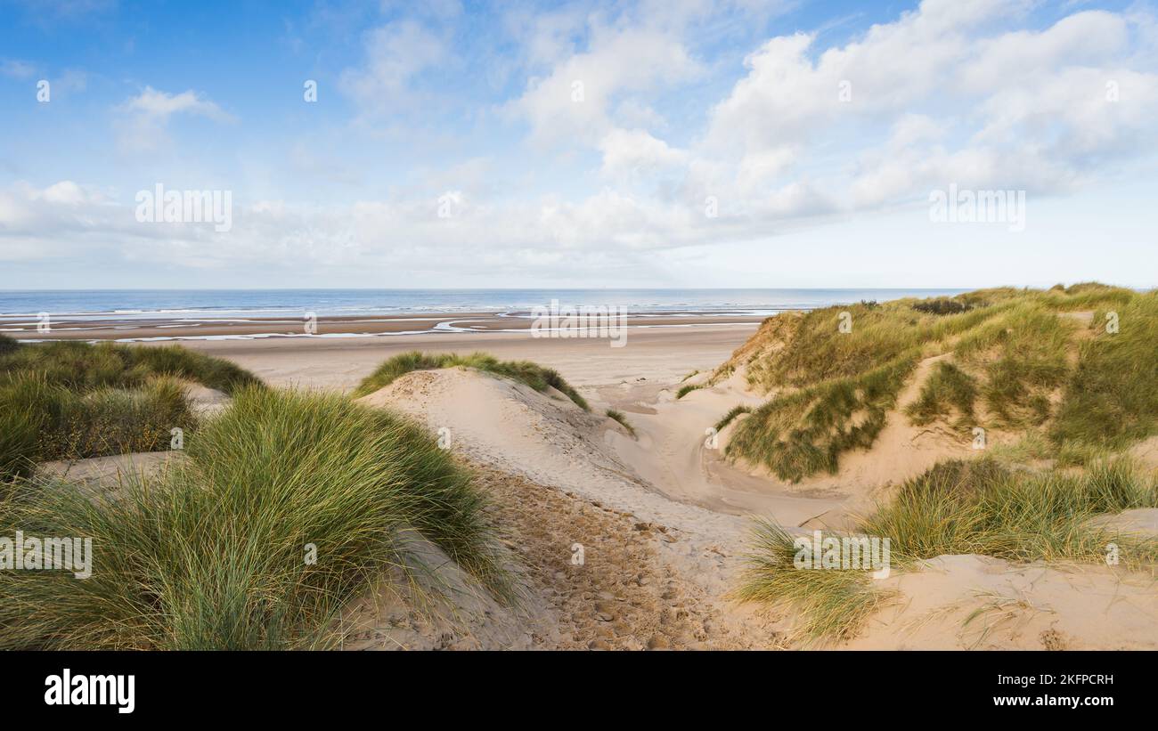 Winter sunlight lights up the marram grass and sand dunes which look ...