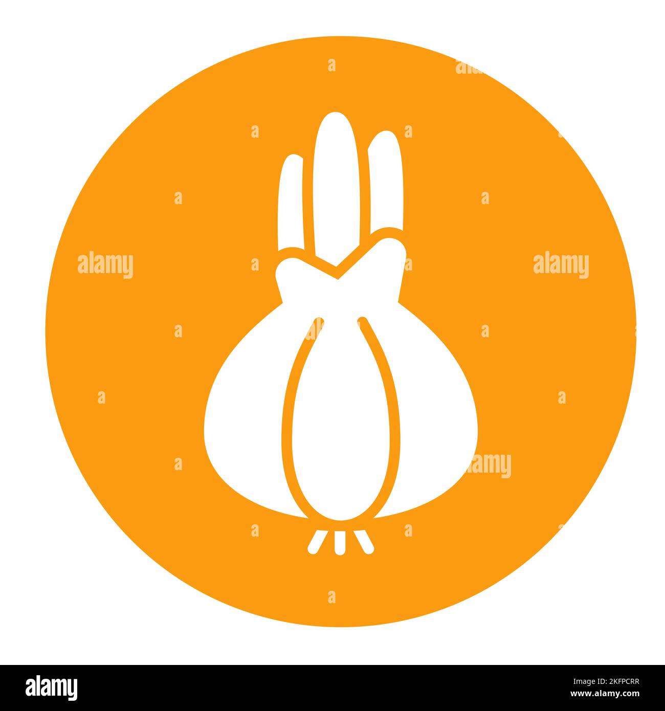 Onion isolated design vector glyph icon. Vegetable sign. Graph symbol ...