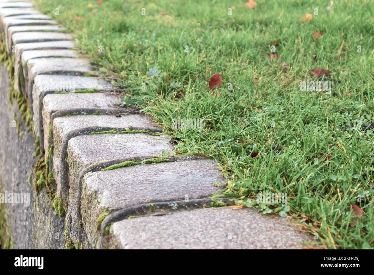 Stone buggy path with green grass on the side Stock Photo - Alamy