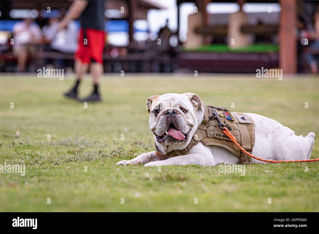 Sgt. Duke Chester X, the 3rd Armored Brigade Combat Team, 1st Armored ...