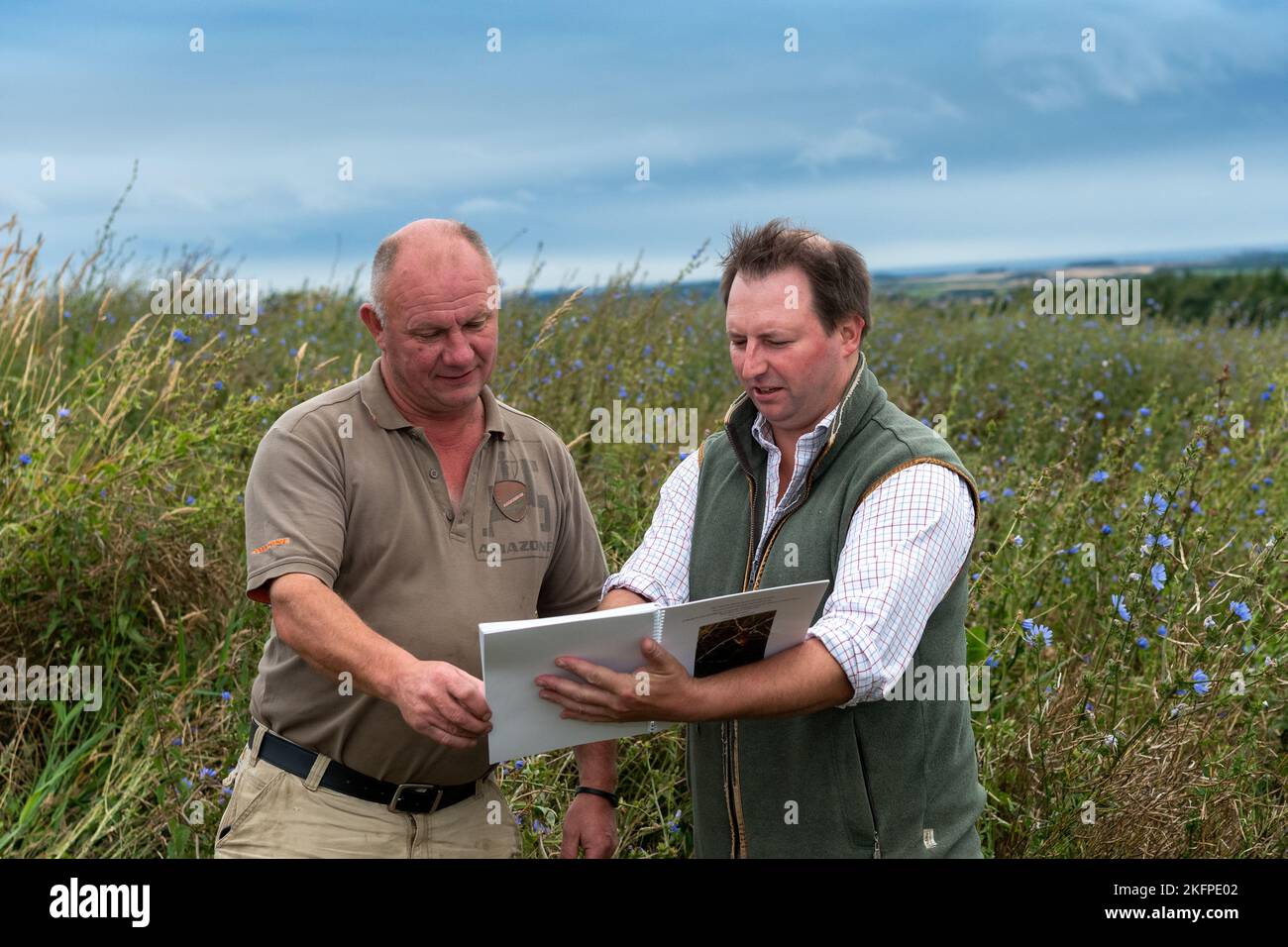 Land agent and farmer discussing farm management on an arable farm in ...