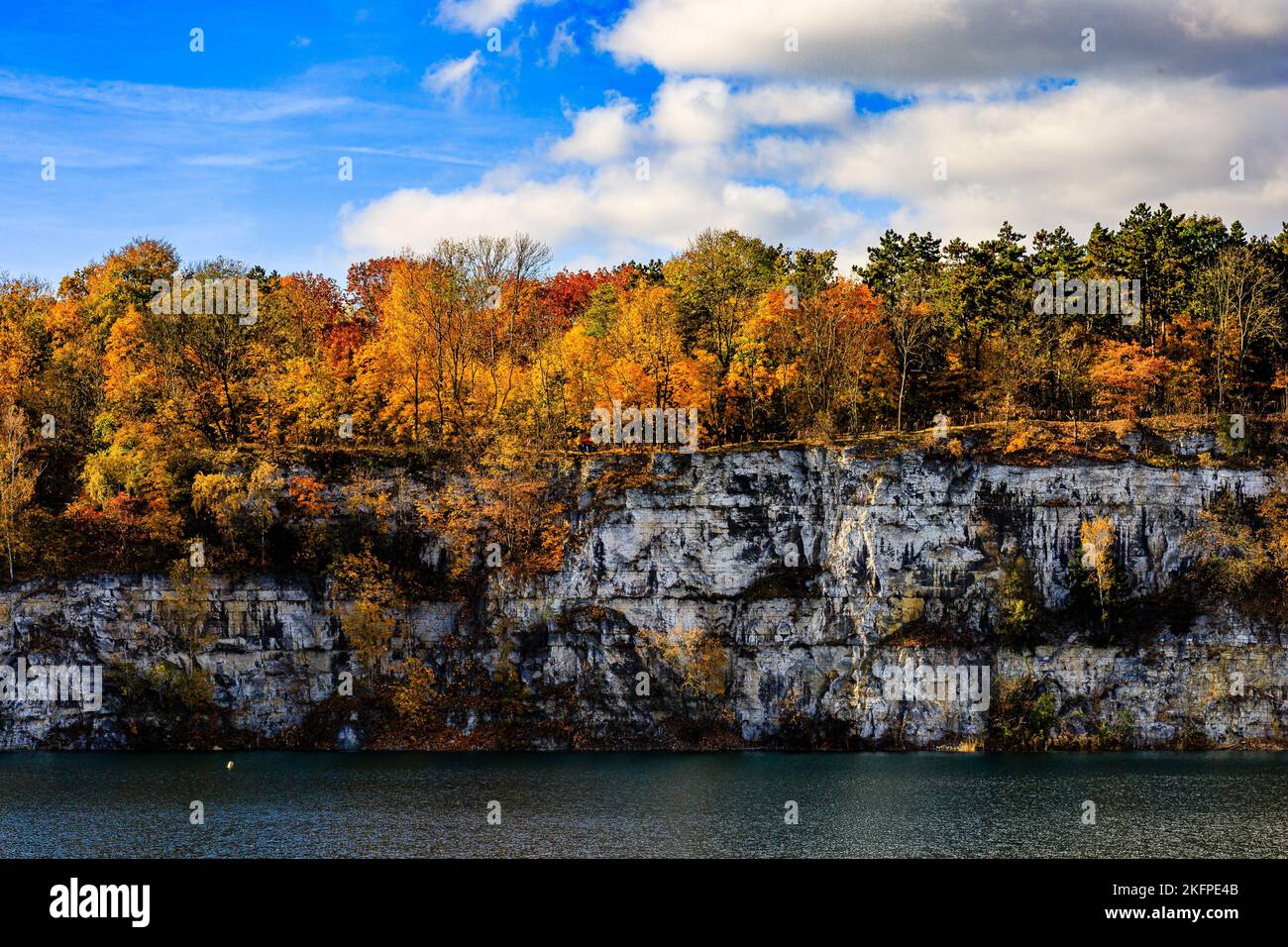 A gorgeous forest of colorful autumnal trees on a cliff overlooking a ...