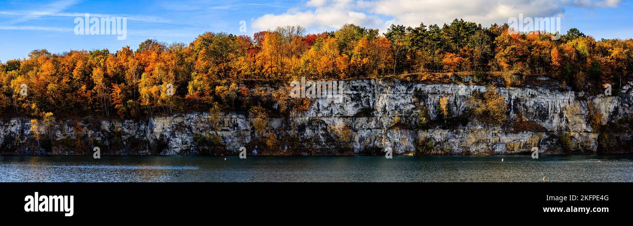 A panoramic view of a gorgeous forest of colorful autumnal trees on a ...