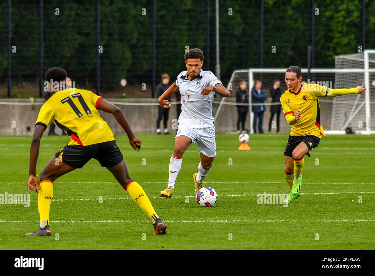 Swansea, Wales. 19 November 2022. Zane Myers of Swansea City under ...