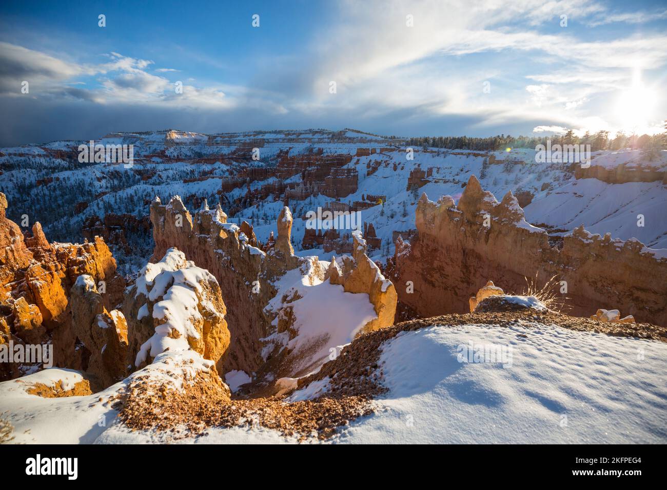 Picturesque colorful pink rocks of the Bryce Canyon National park in ...