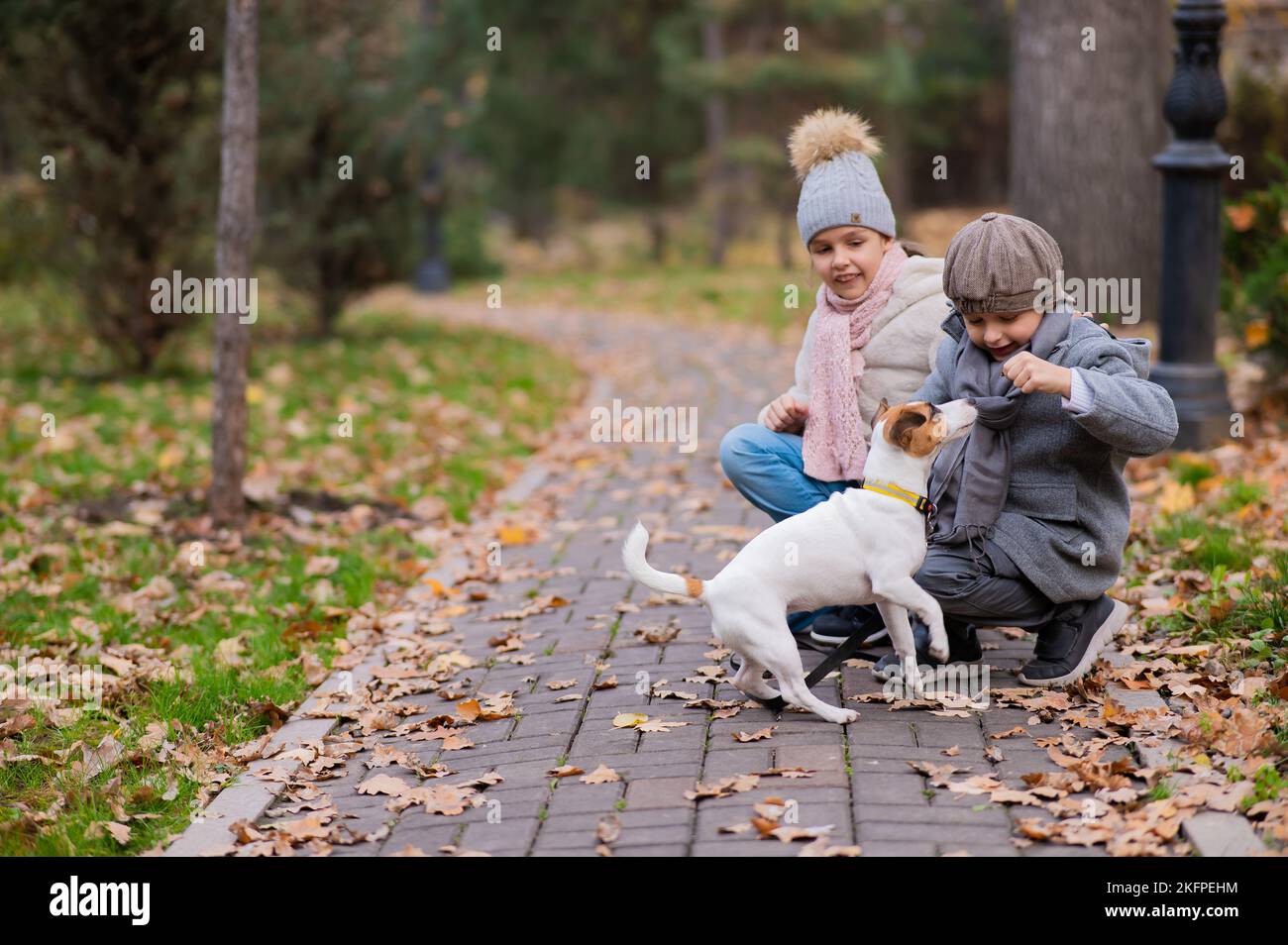Caucasian boy and girl posing sitting on sidewalk with jack russell ...