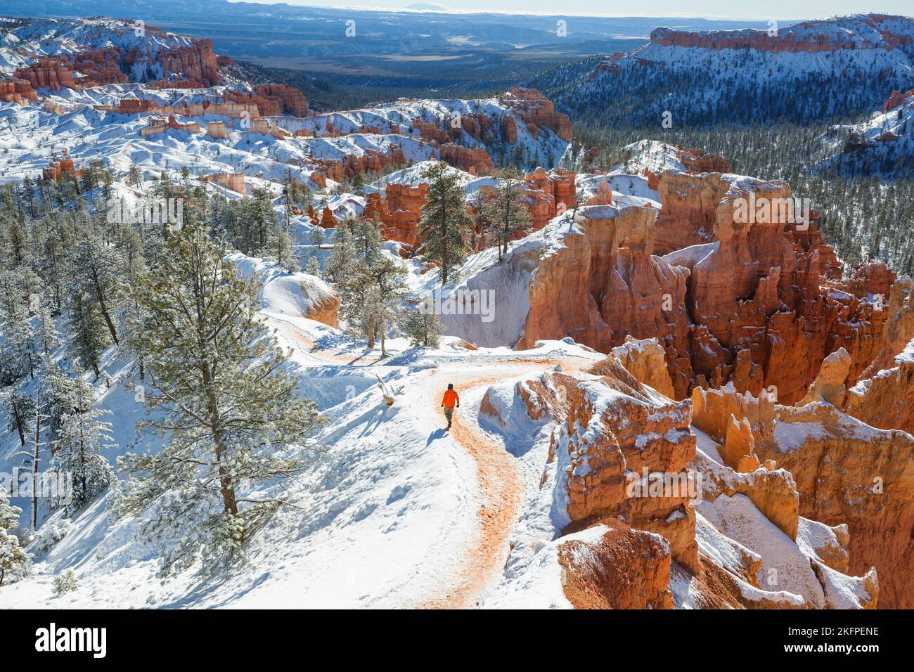 Picturesque colorful pink rocks of the Bryce Canyon National park in ...
