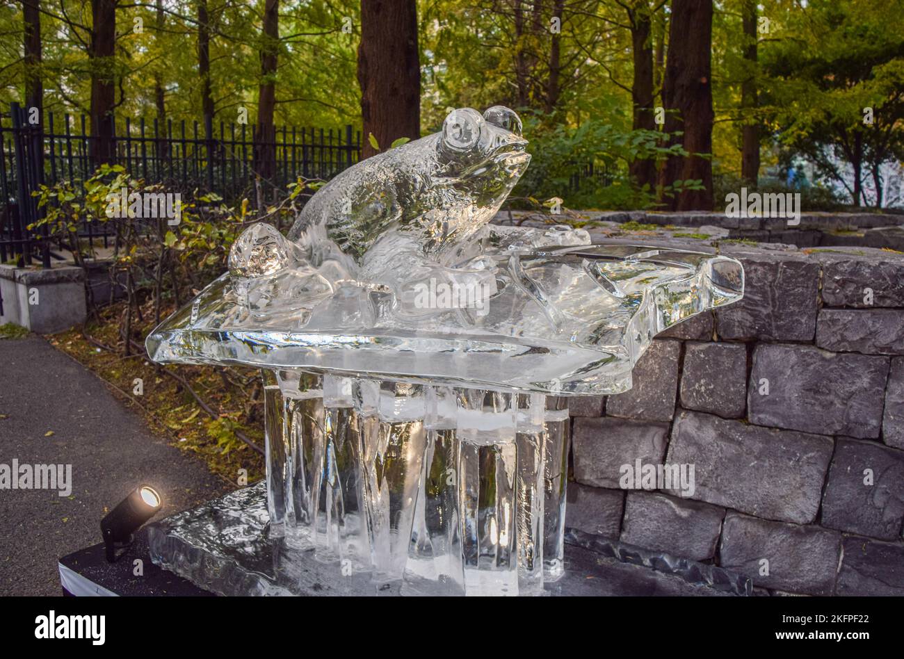 London, England, UK. 19th Nov, 2022. Frog ice sculpture. Sculptors ...