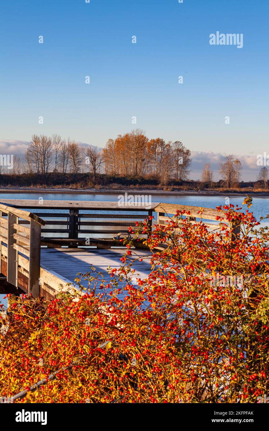 Covered jetty hi-res stock photography and images - Alamy