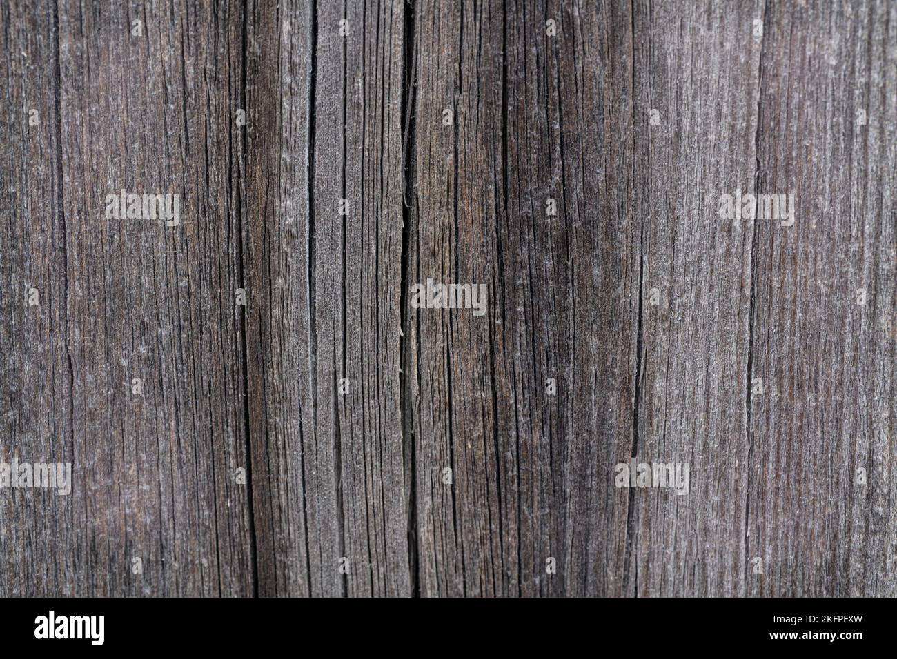 texture of old wood, wooden background of beautiful old wood for design ...