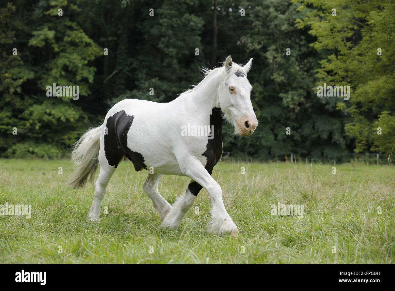 Tinker walks hi-res stock photography and images - Alamy