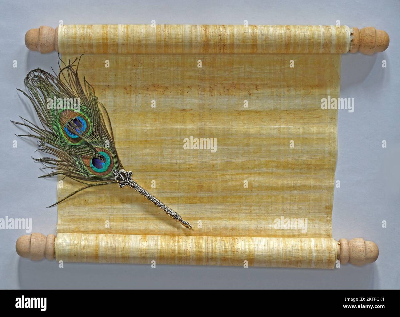 A vintage peacock feather nib pen lays on a papyrus scroll. Ready for ...