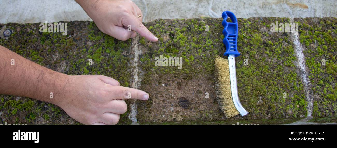 Image of the hands of a handyman using a steel brush to remove mold and ...