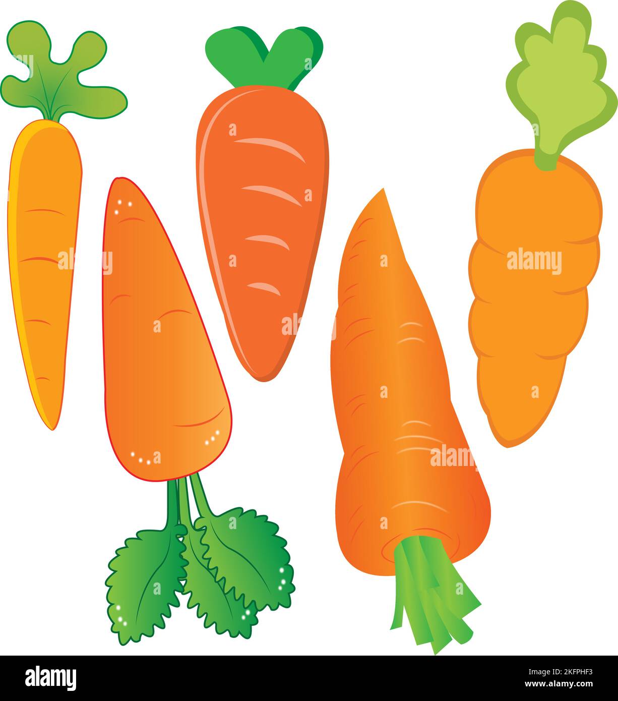 Root map Stock Vector Images - Alamy