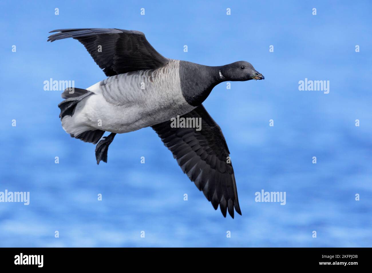 Flight capital horizontal hi-res stock photography and images - Alamy