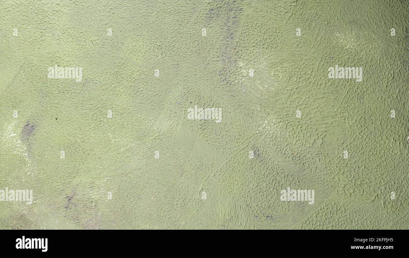 Abstract green background. Grunge texture painted surface. Earth green ...