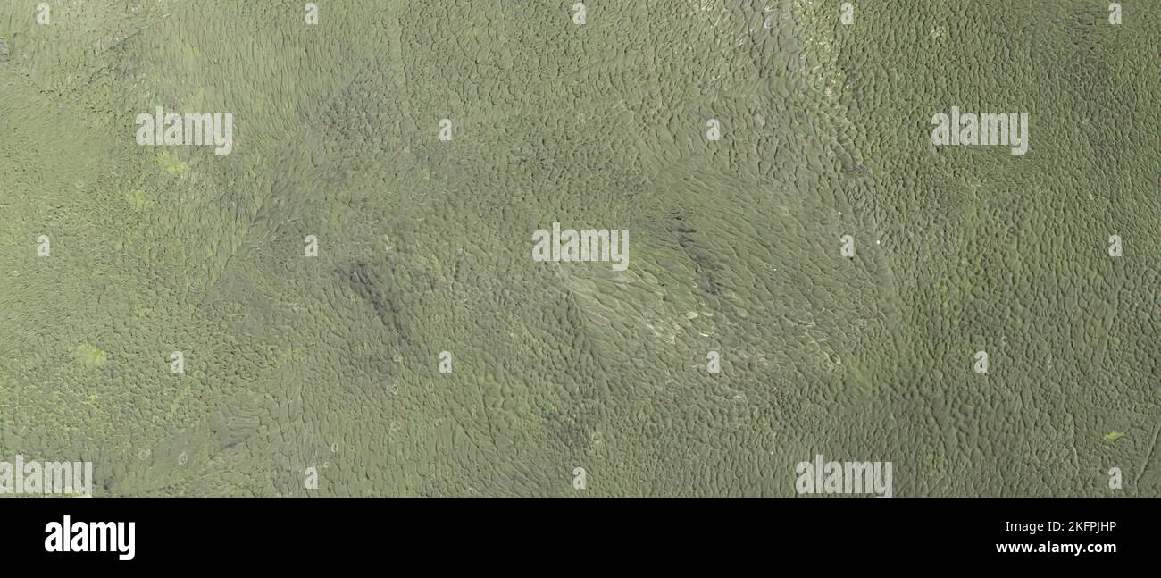 Abstract green background. Grunge texture painted surface. Earth green ...