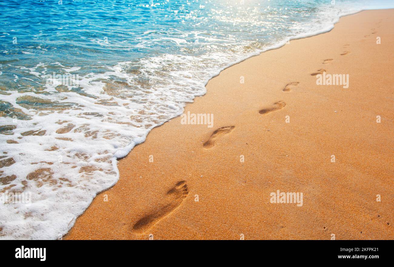 footprints on the beach with golden sand Stock Photo - Alamy