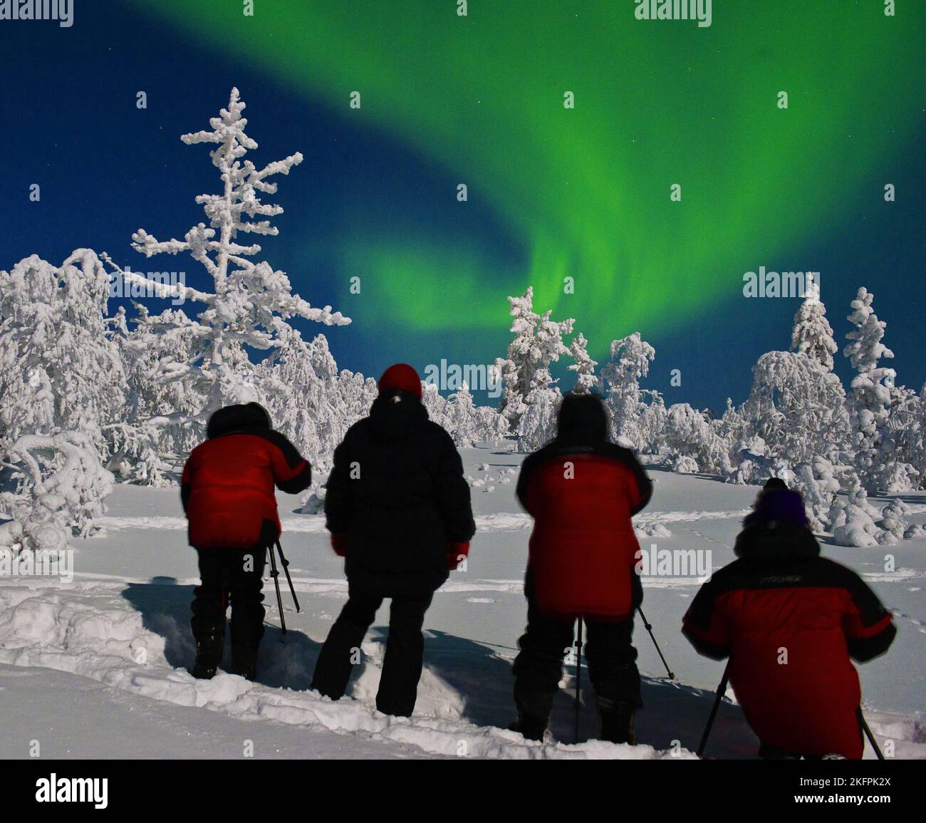 Finland lapland national park hi-res stock photography and images - Alamy