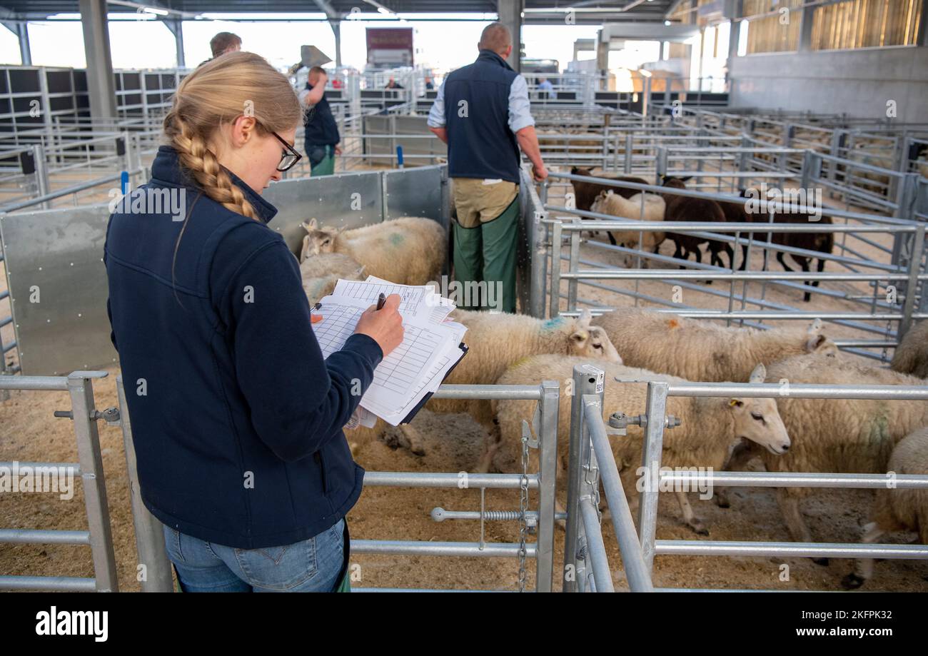 Clerking hi-res stock photography and images - Alamy