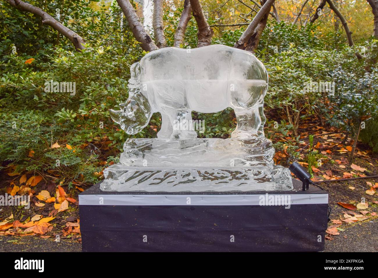 Ice sculpture white rhino hi-res stock photography and images - Alamy