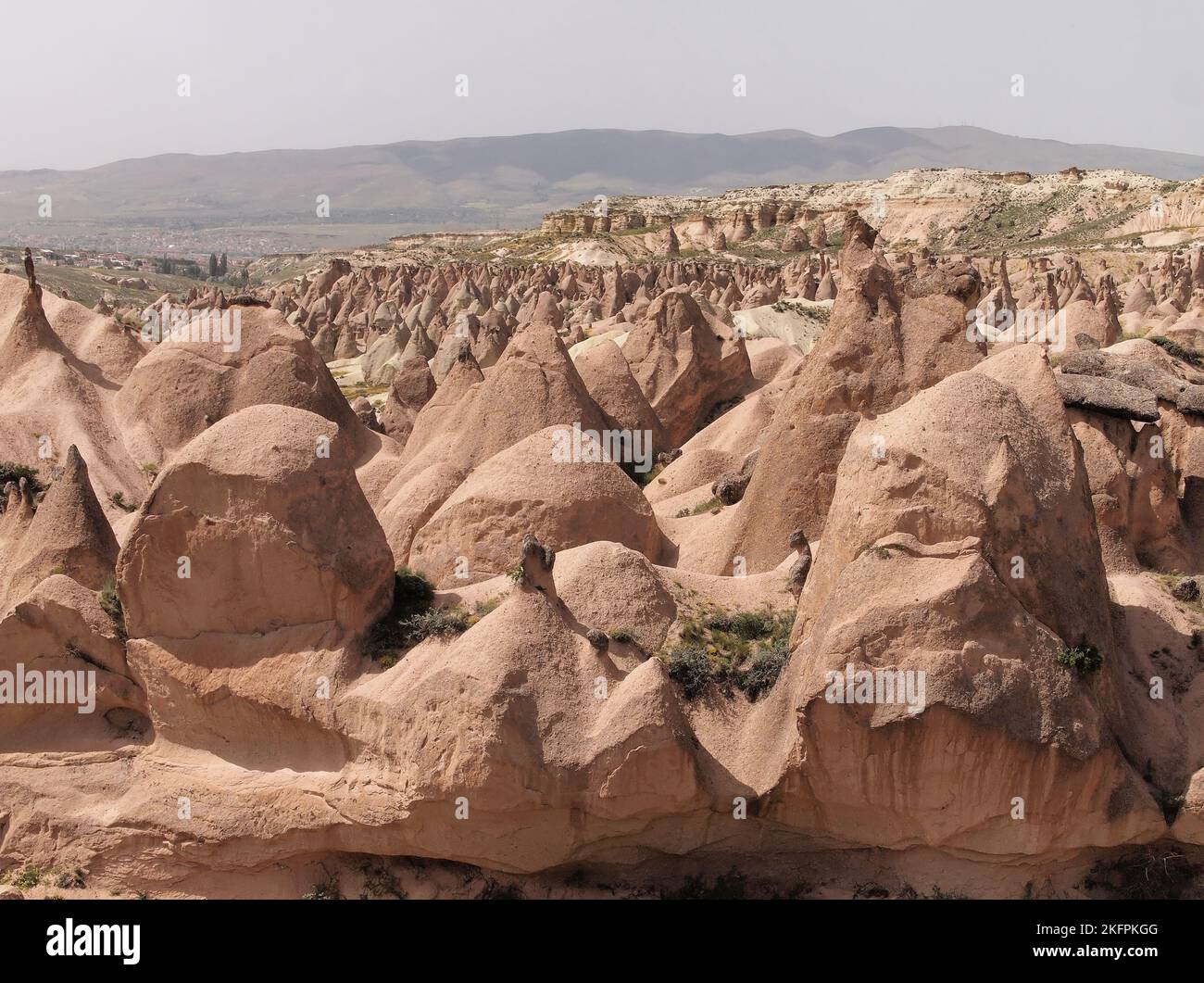 A scenic shot of the Fairy Chimneys in Cappadocia on a green grass ...