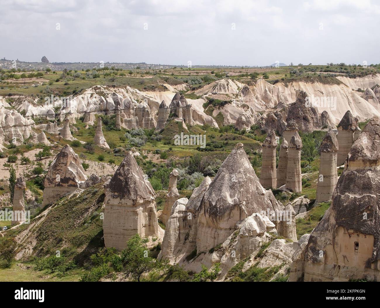 A scenic shot of the Fairy Chimneys in Cappadocia on a green grass ...
