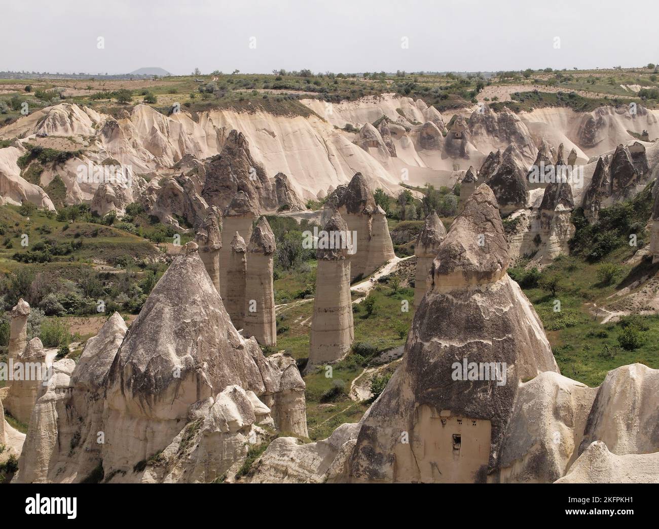 A scenic shot of the Fairy Chimneys in Cappadocia on a green grass ...