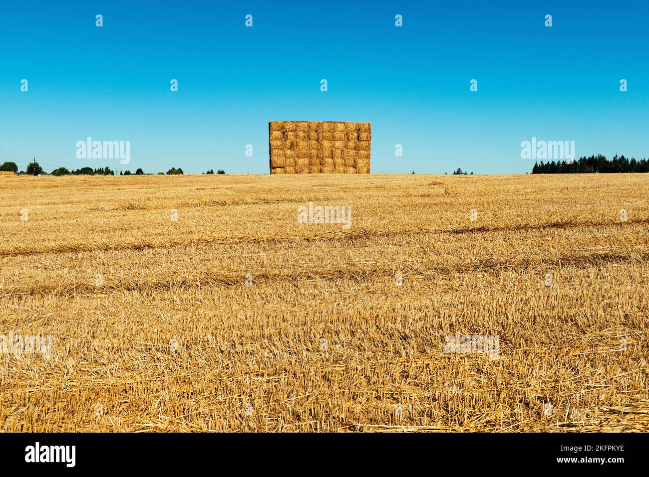 Stacked straw bales Stock Photo - Alamy