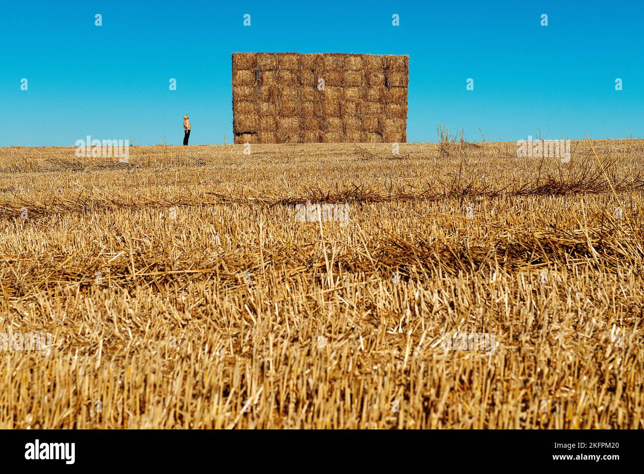 Man scale hi-res stock photography and images - Alamy