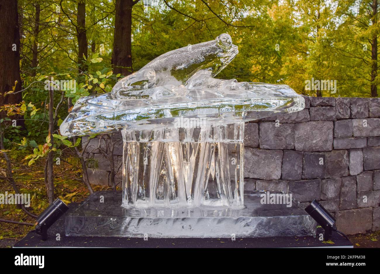 London, UK. 19th November 2022. Frog ice sculpture. Sculptors created ...