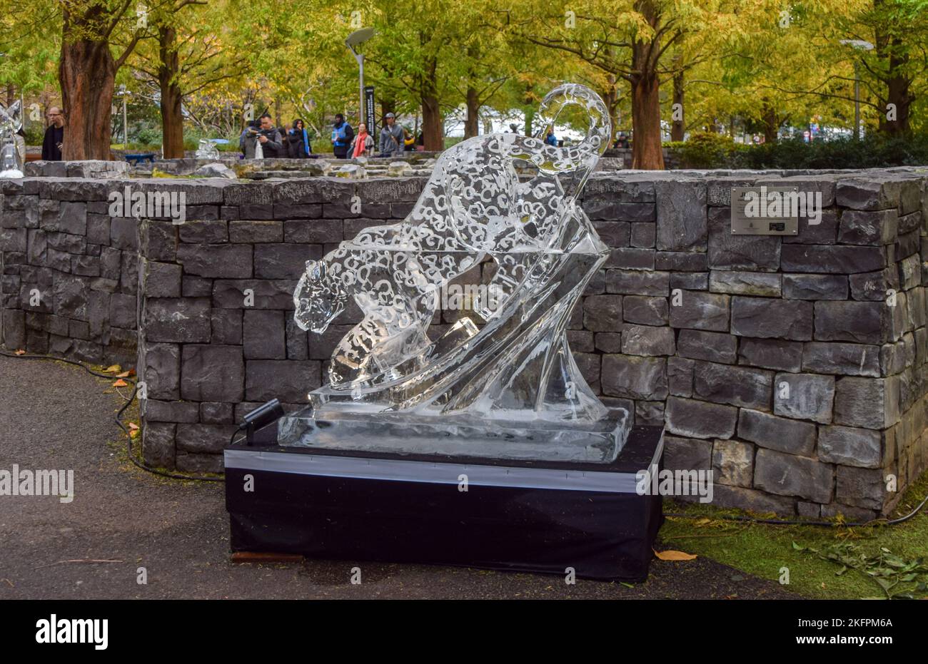 London, UK. 19th November 2022. Leopard ice sculpture. Sculptors ...