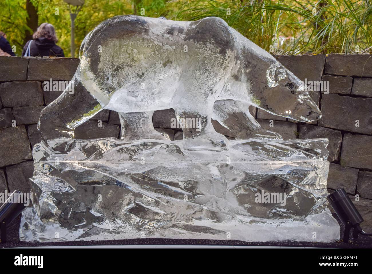 London, UK. 19th November 2022. Polar bear ice sculpture. Sculptors ...