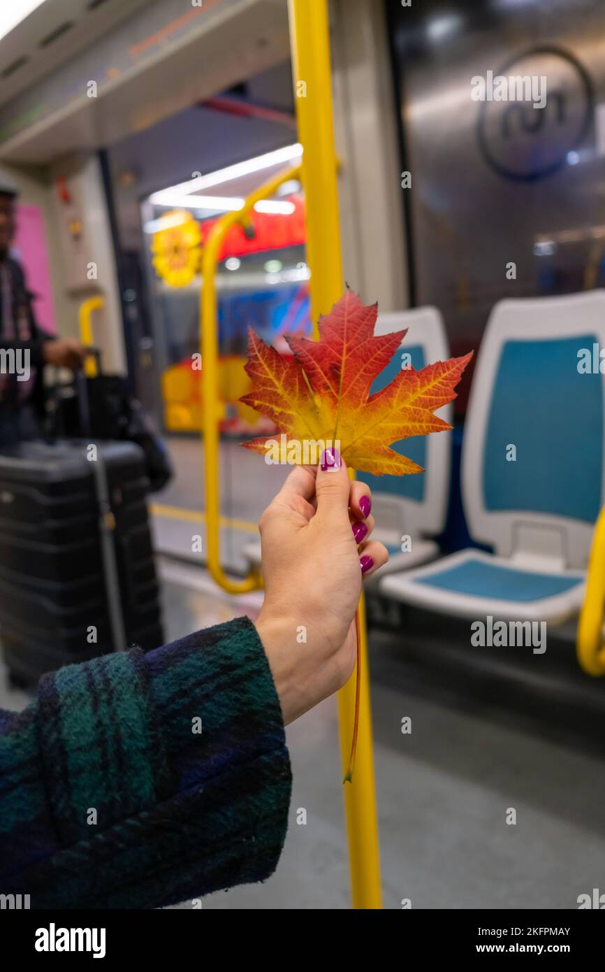 Photo of female hand holding an autumn leaf at empty train coach with ...