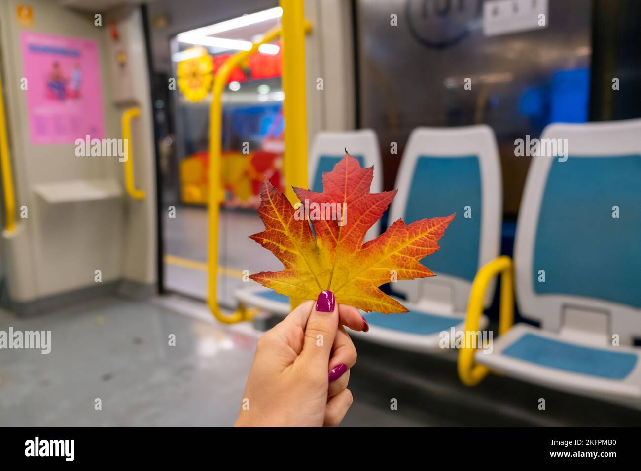 Photo of female hand holding an autumn leaf at empty train coach with ...