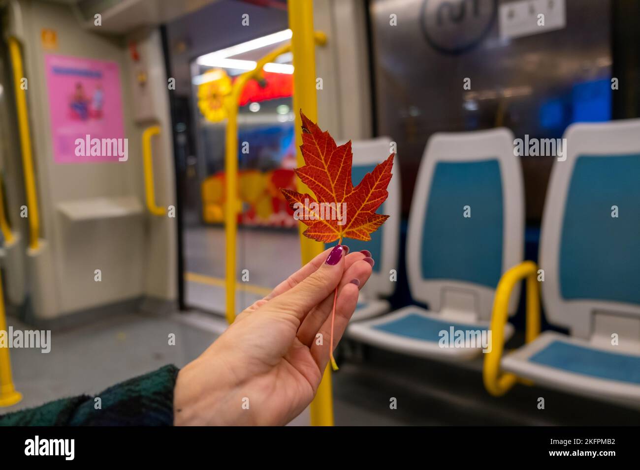 Photo of female hand holding an autumn leaf at empty train coach with ...