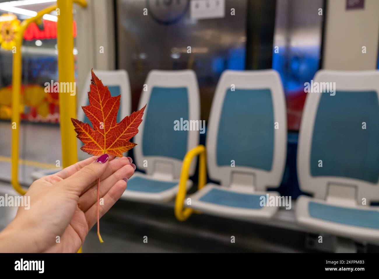 Photo of female hand holding an autumn leaf at empty train coach with ...