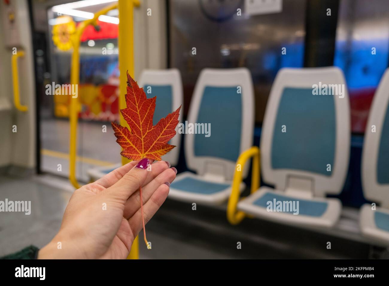 Photo of female hand holding an autumn leaf at empty train coach with ...