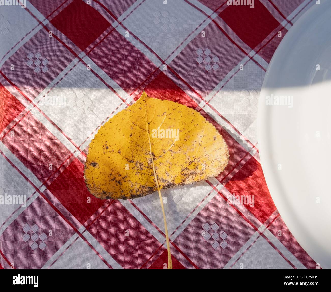 Autumn leaf isolated on traditional portuguese tablecloth background ...