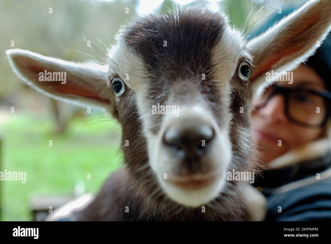 Close up adult farmer holding hi-res stock photography and images - Alamy