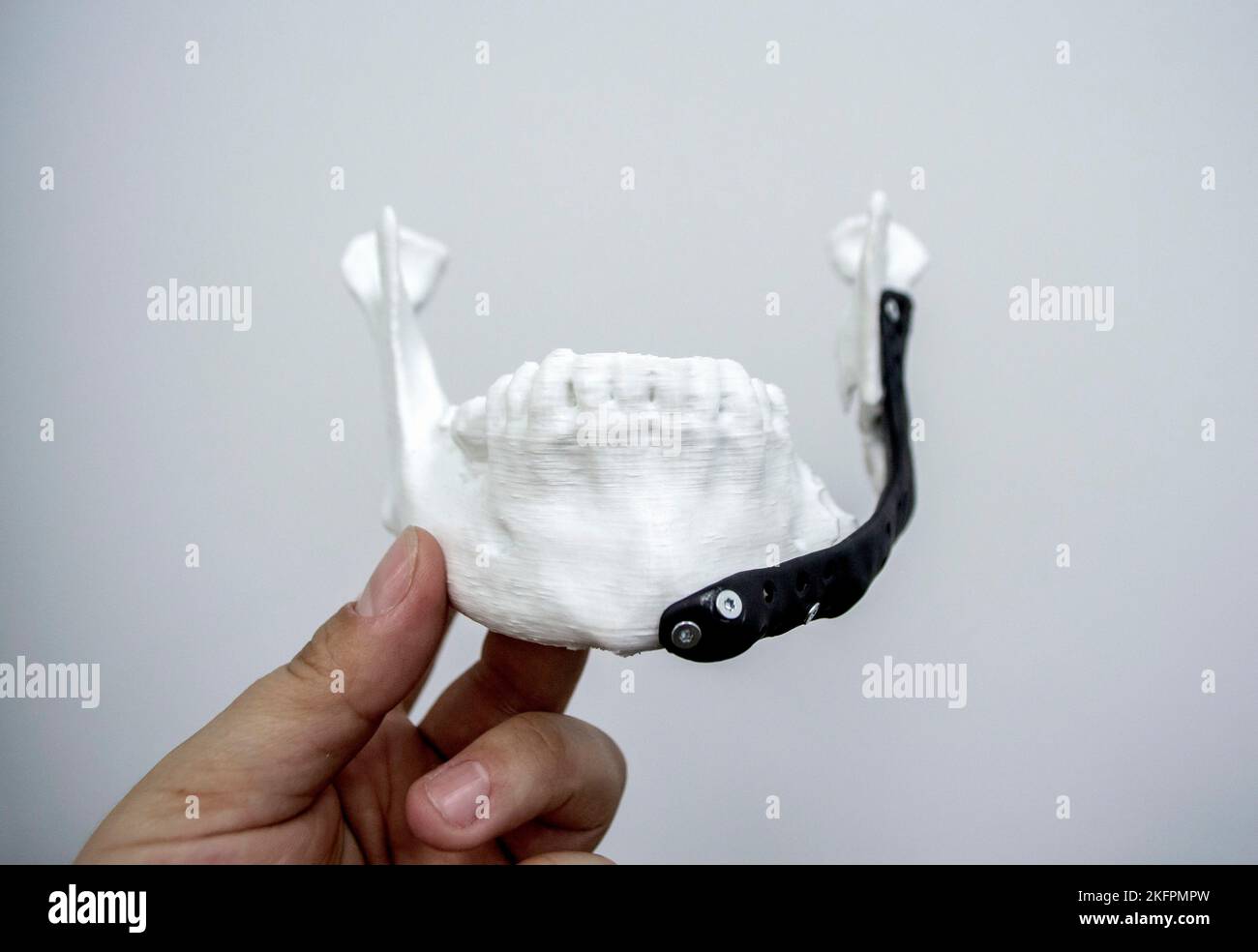 Person holding in hand 3D printed plastic prototype human lower jaw and ...