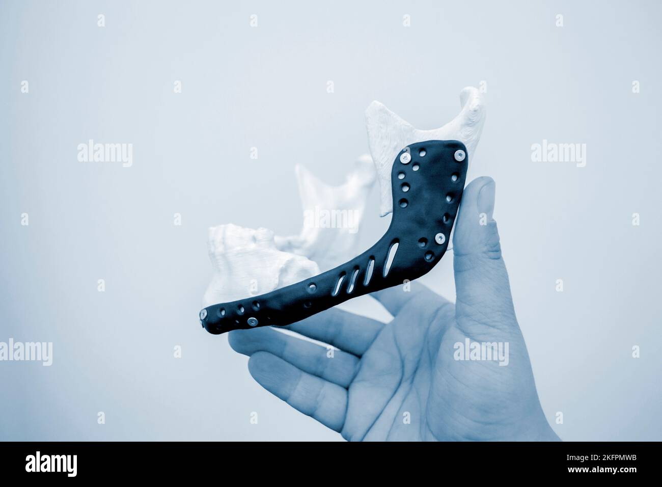 Person holding in hand 3D printed plastic prototype human lower jaw and ...