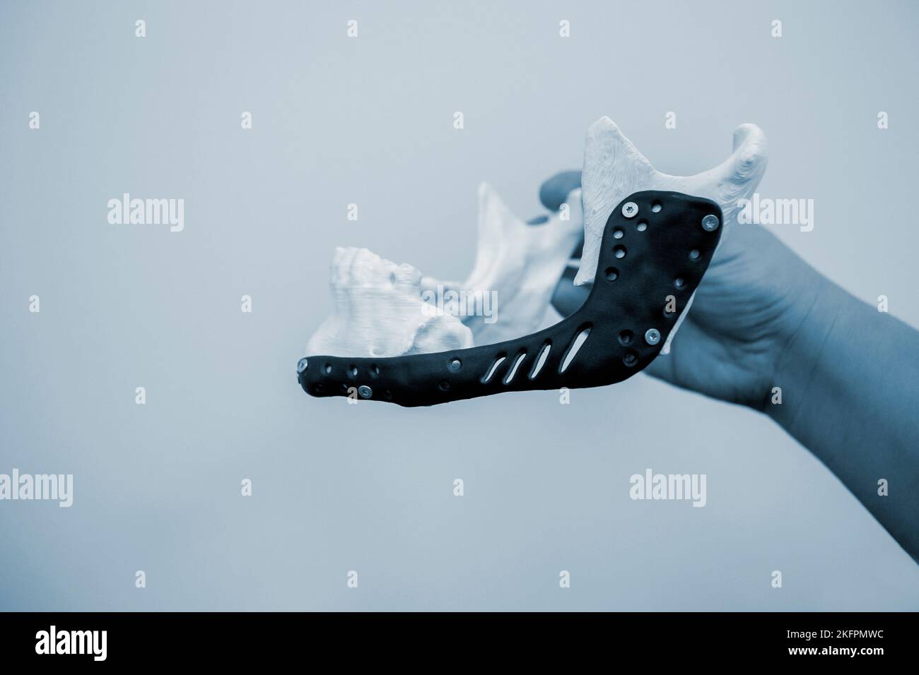 Person holding in hand 3D printed plastic prototype human lower jaw and ...