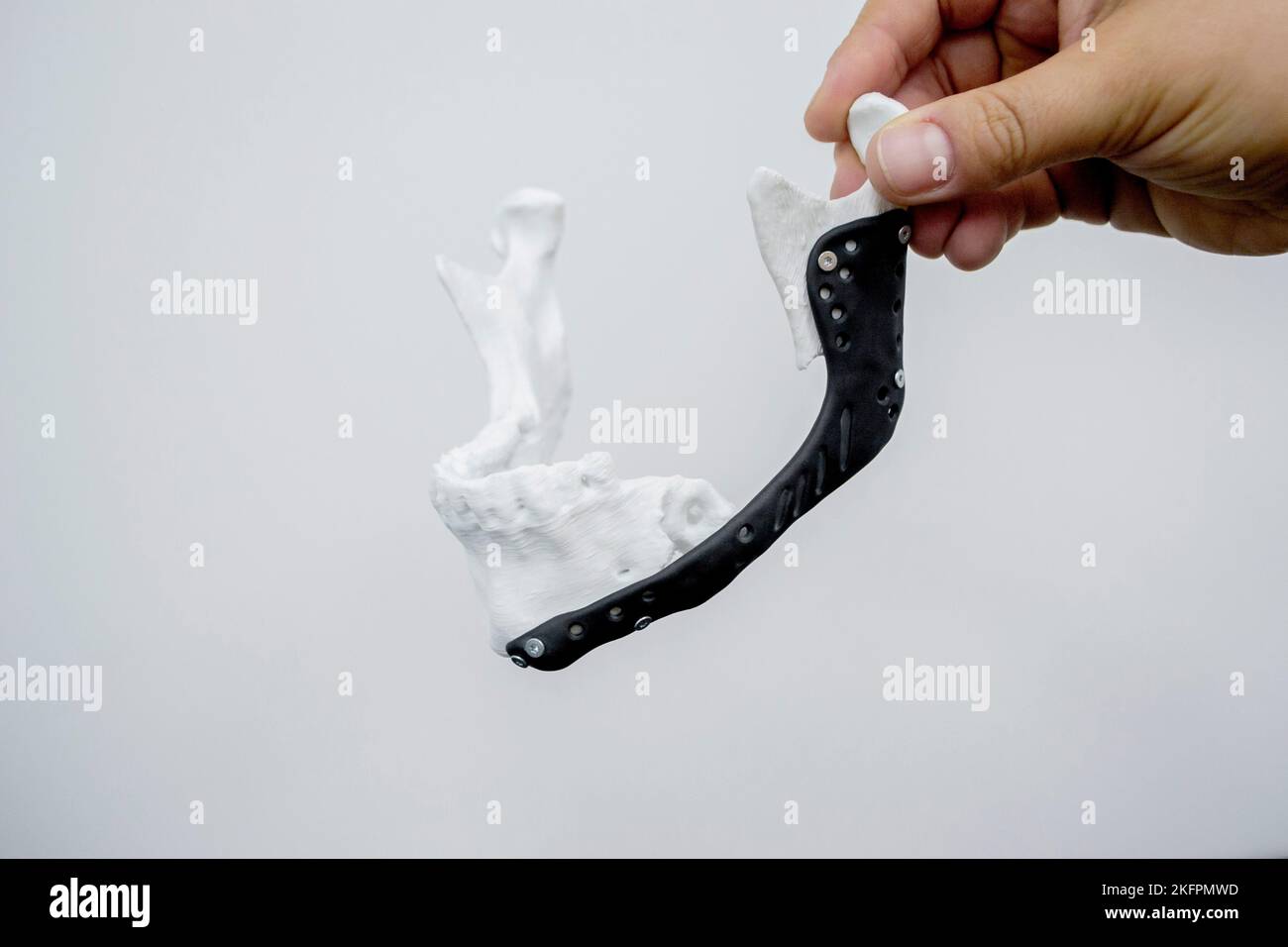Person holding in hand 3D printed plastic prototype human lower jaw and ...